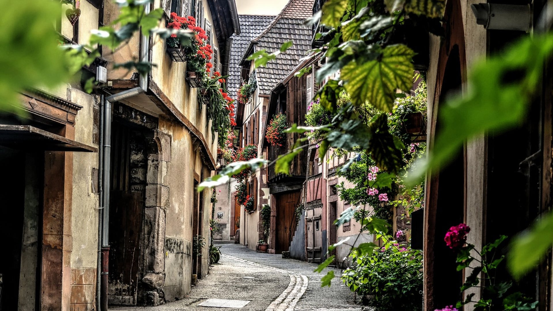 Pourquoi acheter sa maison à Colmar ? - Welcome Immo